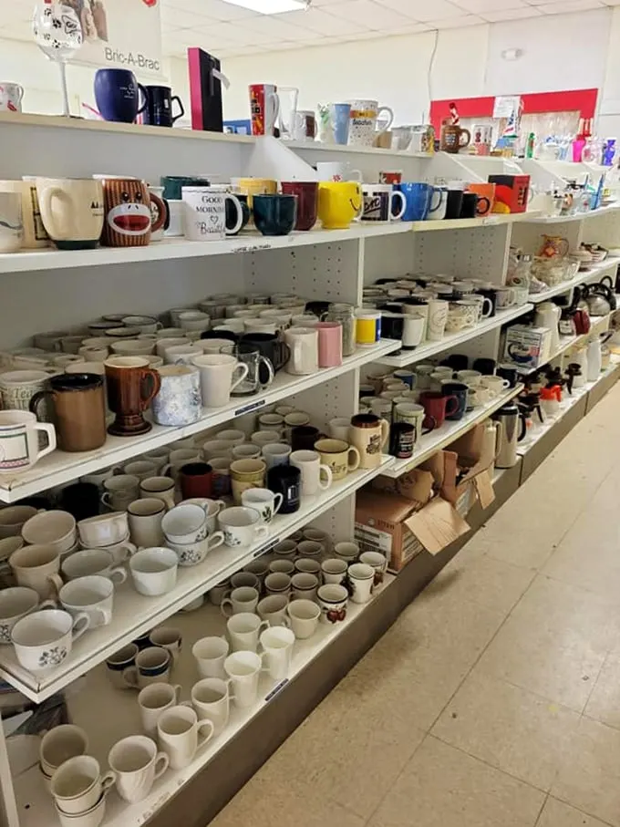 "Mug shot lineup! Find your perfect coffee companion or start a mismatched collection that would make Alice in Wonderland proud."