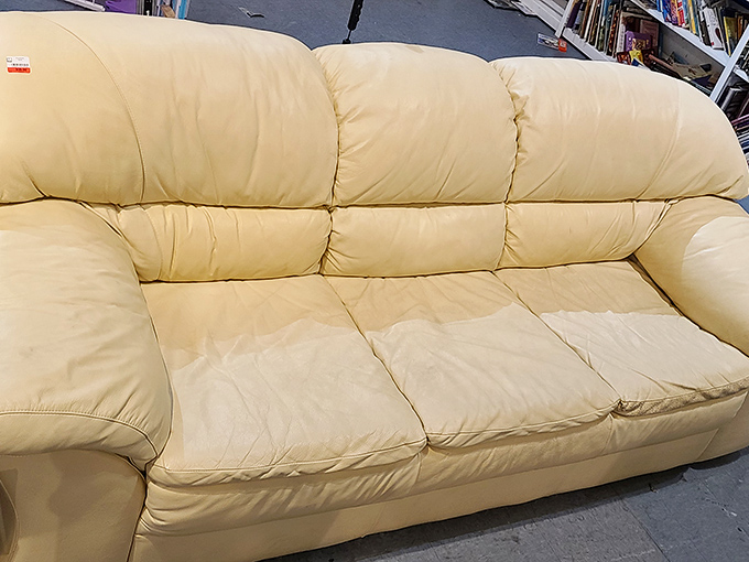 The cream leather sofa—slightly loved but still dignified—like a retired professor ready to host deep conversations in your living room.