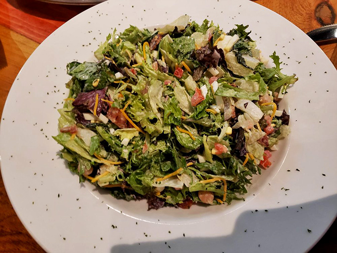Even the salad looks like it's having a good time here—a colorful supporting actor that doesn't mind letting the burgers and mac take center stage.