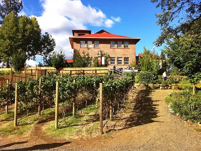 Schoolhaus Brewhaus: Where "I learned it in school" takes on a whole new meaning. History class was never this refreshing!