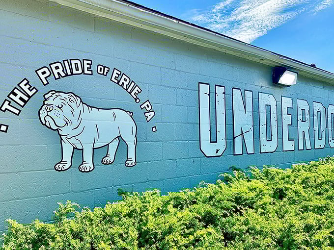 "The Pride of Erie" isn't just a slogan – it's a promise painted on the wall, with a bulldog mascot that looks like he knows where all the best food is hidden.