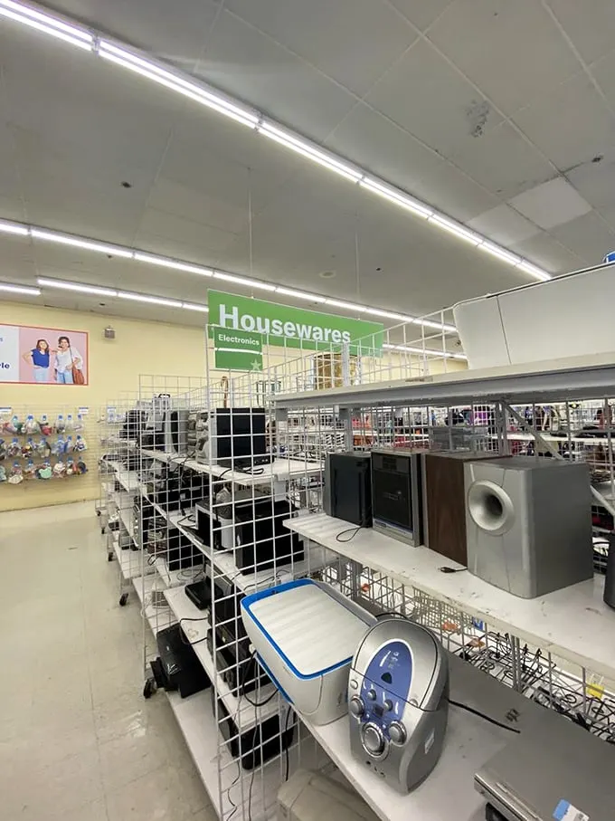 Kitchen dreams are made of these! From blenders to toasters, this housewares haven is where culinary ambitions meet budget-friendly reality.