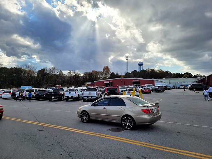 Parking paradise or tailgate party central? Either way, this lot is where the La Vaquita adventure begins and ends – hopefully with a trunk full of treasures!