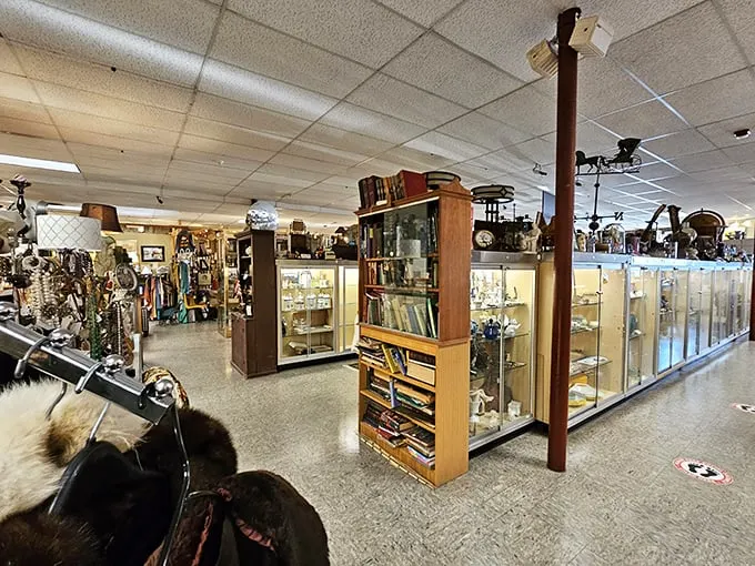 Aladdin's cave meets your grandma's basement. Every nook and cranny tells a story, from vintage radios to forgotten treasures waiting to be rediscovered.
