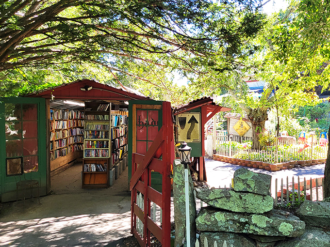 Step into a storybook world! This charming red shed isn't just eye candy – it's a portal to countless adventures waiting on its shelves.