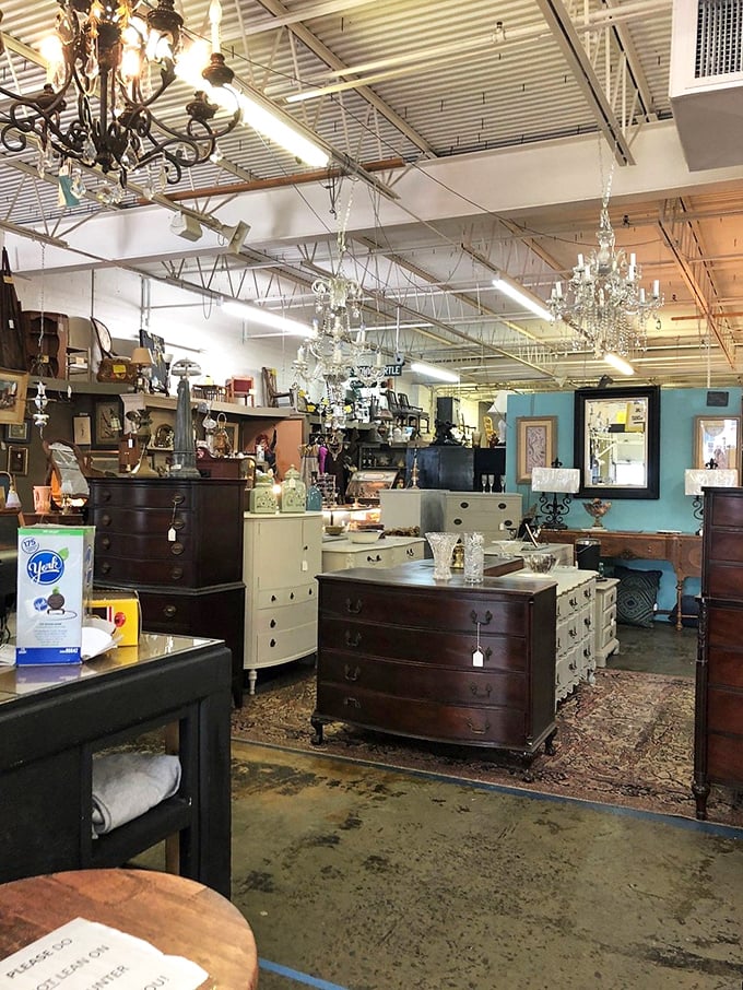 Step inside and prepare for sensory overload! Chandeliers dangle like stars, while furniture from every era beckons you to explore.