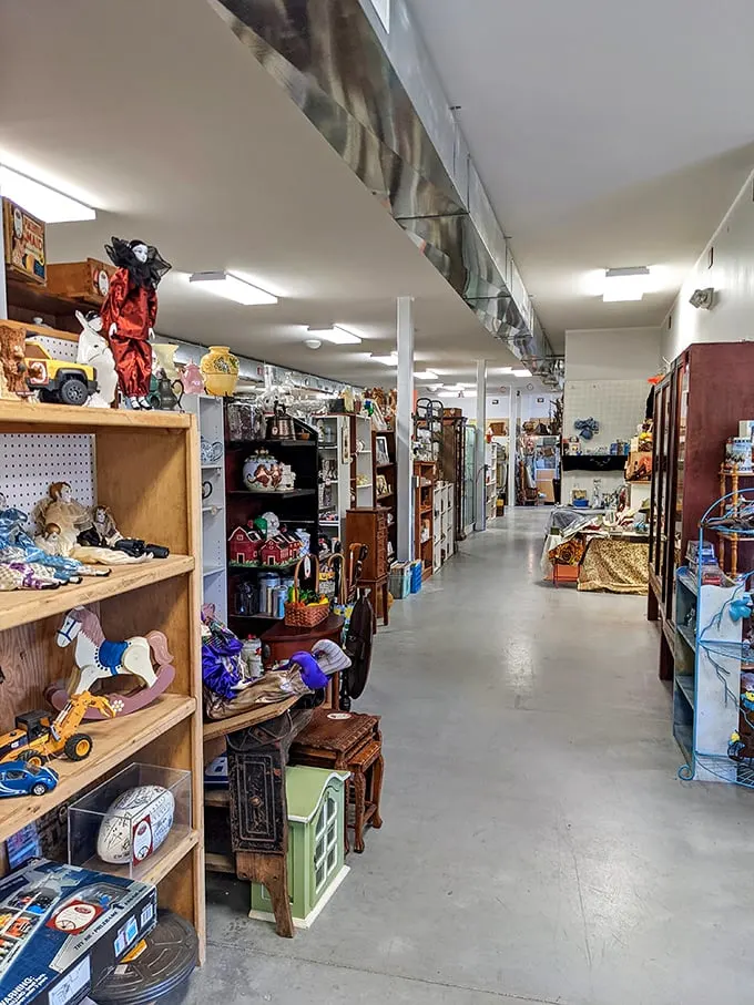 Step into a world where every aisle is a new adventure. From toys to trinkets, this labyrinth of nostalgia will have you saying, "I remember that!" at every turn.