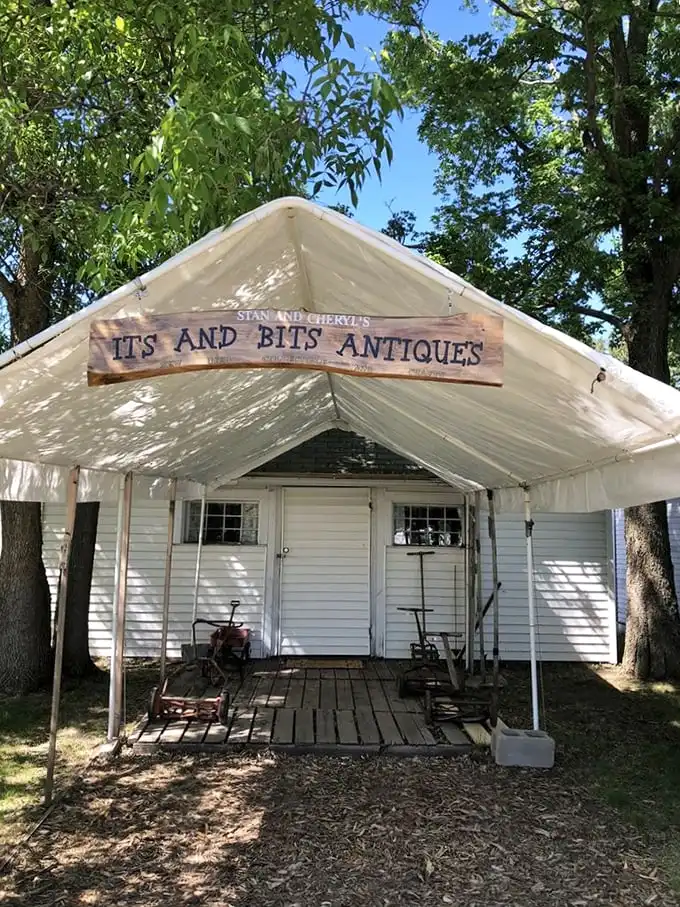 Stan and Cheryl's "Its and Bits Antiques" embodies the charm of Shady Hollow—unpretentious, authentic, and brimming with stories.
