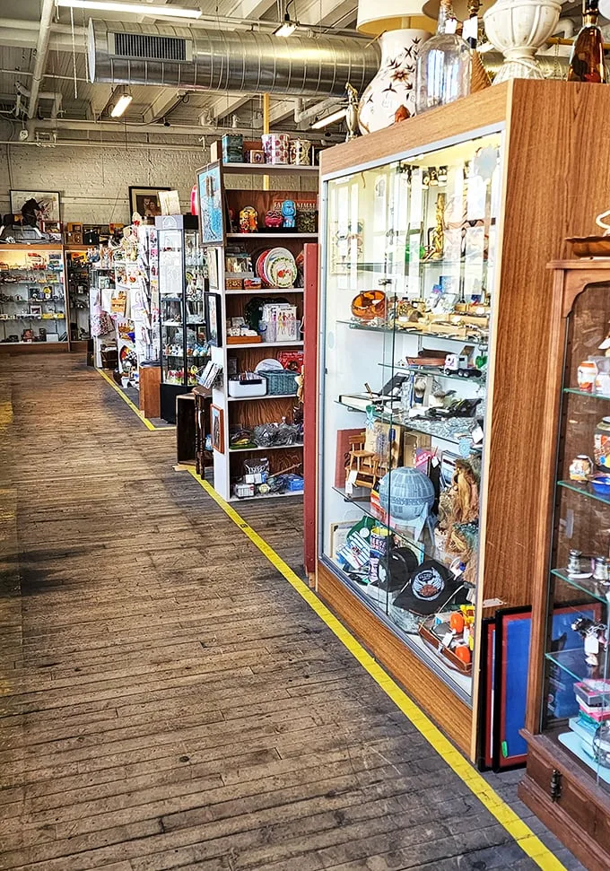Aisle after aisle of wonder awaits! From kitschy knick-knacks to elegant heirlooms, each shelf is a new adventure. Just don't blame us if you lose track of time.