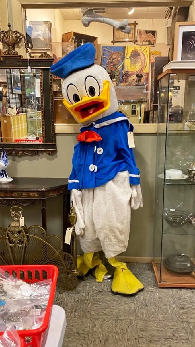 Holy quack-amole! Donald Duck's doppelganger stands guard, ready to sail you down memory lane or star in your next costume party.