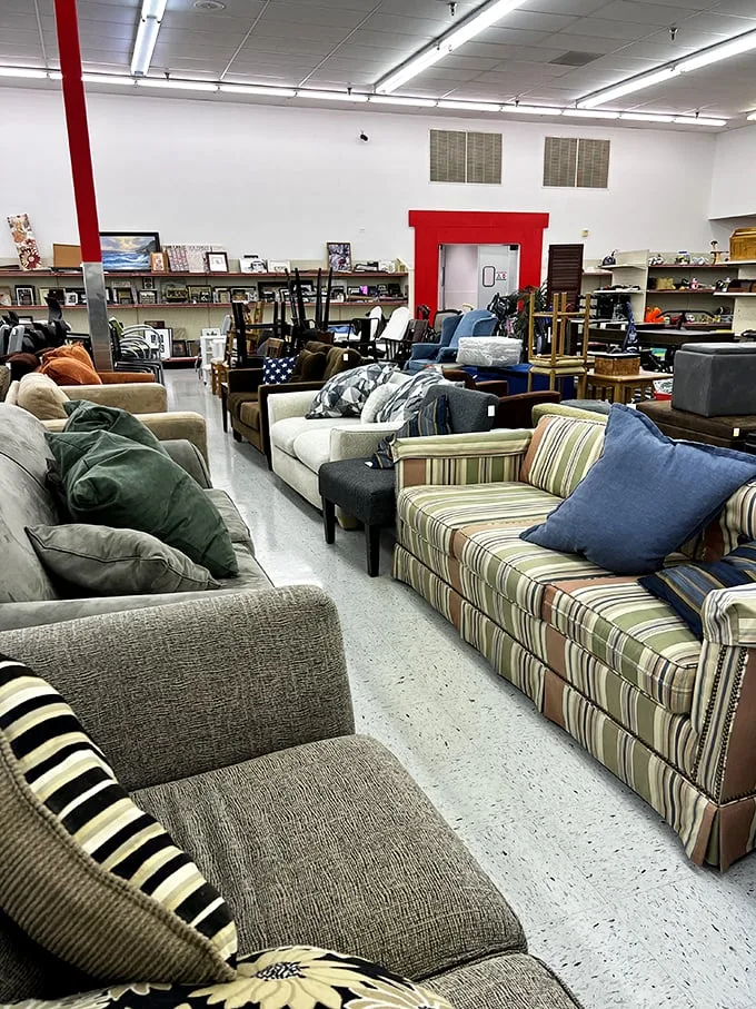 Ah, the furniture section – where mid-century modern meets "my grandmother's attic." That leather sectional has stories to tell!