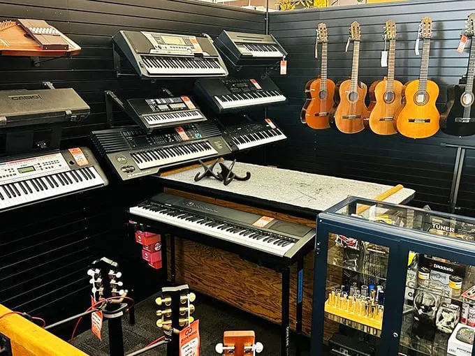 Strum a tune or tickle the ivories! This musical menagerie is enough to make even the tone-deaf dream of starting a garage band.