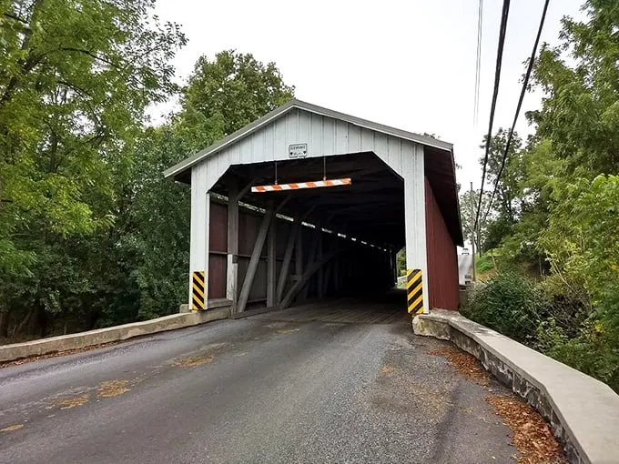Bridge to the past! Leaman's Place Covered Bridge whispers tales of horse-drawn carriages and simpler times gone by.