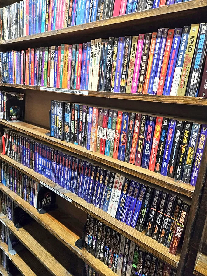 A rainbow of reading awaits! These shelves are a buffet of stories, each spine a portal to another world.