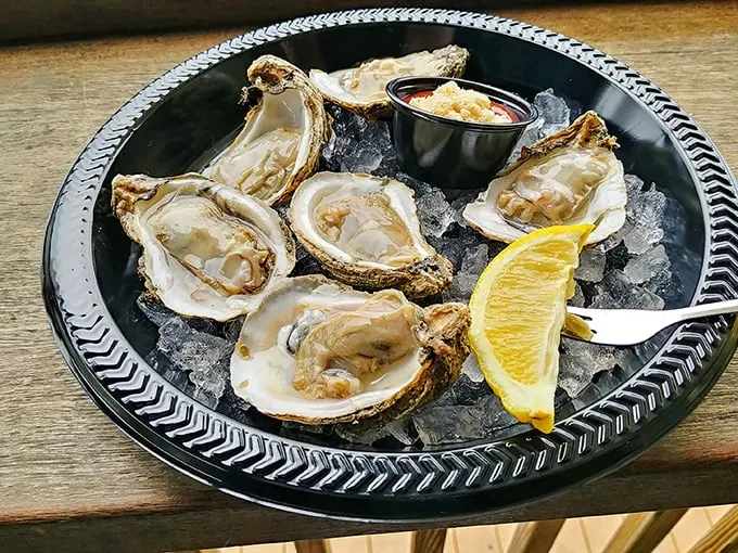 Oysters on ice: nature's way of saying, "Hey, let's party!" These briny beauties are ready for their close-up.