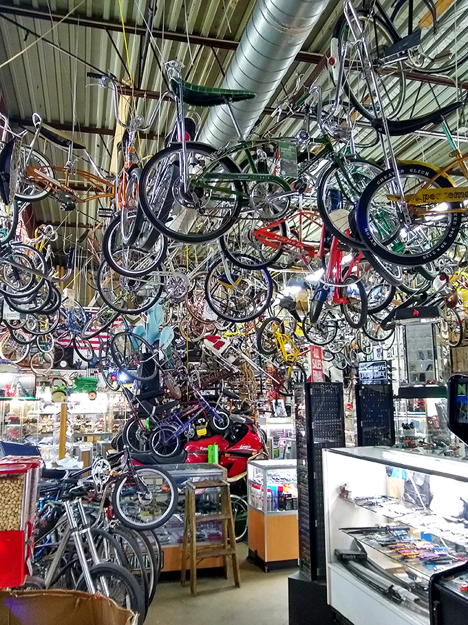 Bike bonanza! It's raining two-wheelers in this corner of the market. Whether you're Lance Armstrong or just armstrong enough to pedal, there's a ride for you.