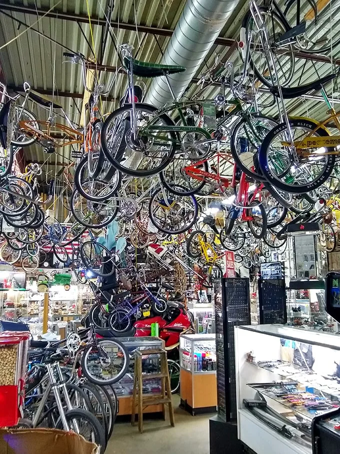Bike bonanza! It's raining two-wheelers in this corner of the market. Whether you're Lance Armstrong or just armstrong enough to pedal, there's a ride for you.