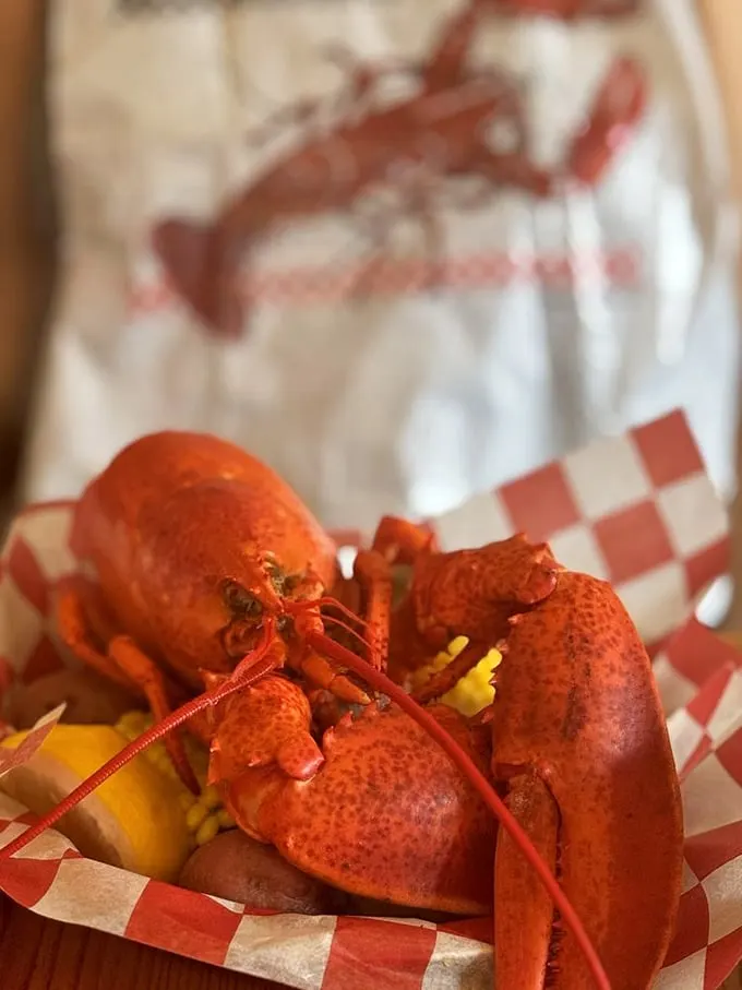 Hello, beautiful! This crimson crustacean is ready for its close-up – and your dinner plate.