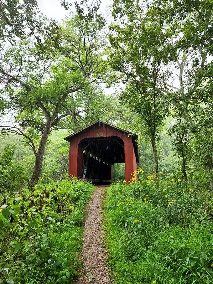 This covered bridge doesn't just connect two points—it's a time machine to when life moved at the pace of a leisurely Sunday stroll.