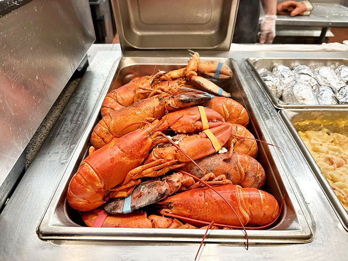 These lobsters are so fresh, they're practically doing the cha-cha in the kitchen. Talk about dinner and a show!