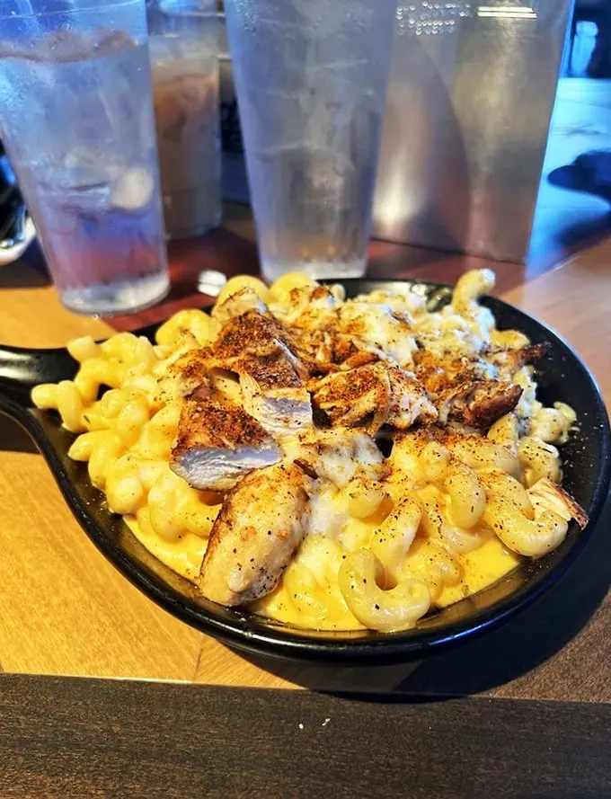 Behold, the mac and cheese that launched a thousand food comas. Those perfectly seasoned shrimp aren't just toppings—they're co-pilots on this cheesy journey.