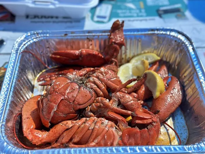 Lobster lovers, rejoice! These crimson beauties are ready to star in your next seafood extravaganza. It's like "The Little Mermaid" for grown-ups!