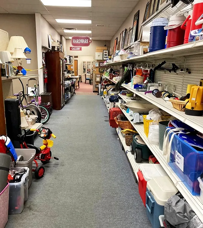 Hardware heaven or DIY dreamland? This aisle has more tools than my neighbor's garage – and trust me, that's saying something.