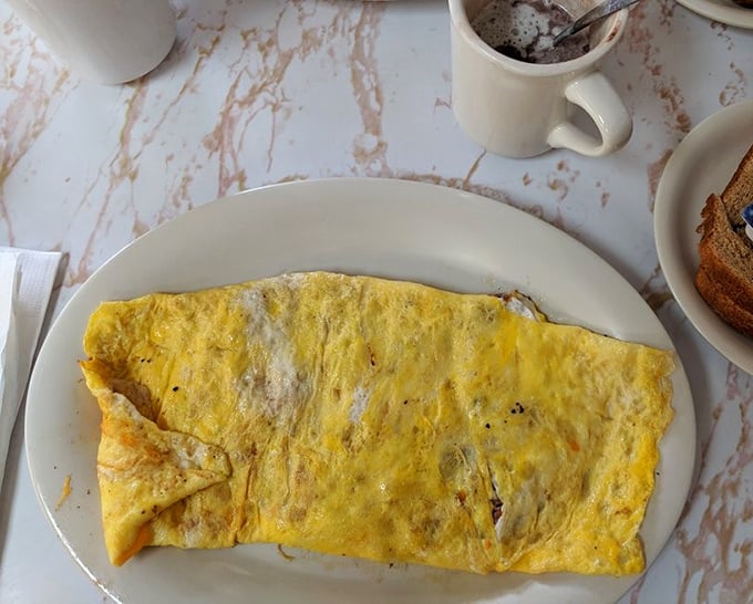 The ham and cheese omelet: Where breakfast meets lunch and decides to throw a party in your mouth.