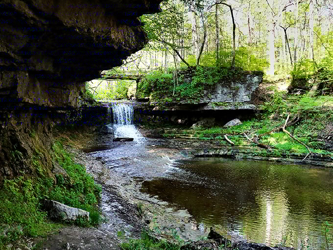 Nature's version of a spa day. The limestone waterfalls in Glen Helen create a soundtrack that makes even your most stressful thoughts disappear.