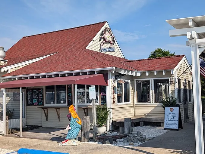 Crabs so good, you'll forget table manners exist. Mud City is where seafood meets fun in a deliciously messy showdown.