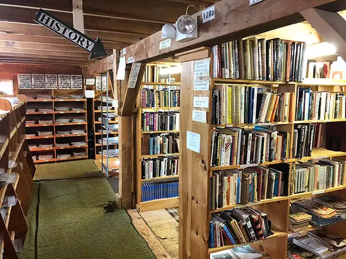 History buffs, rejoice! This corner is like a time machine in book form. Who needs Netflix when you've got centuries of drama at your fingertips?