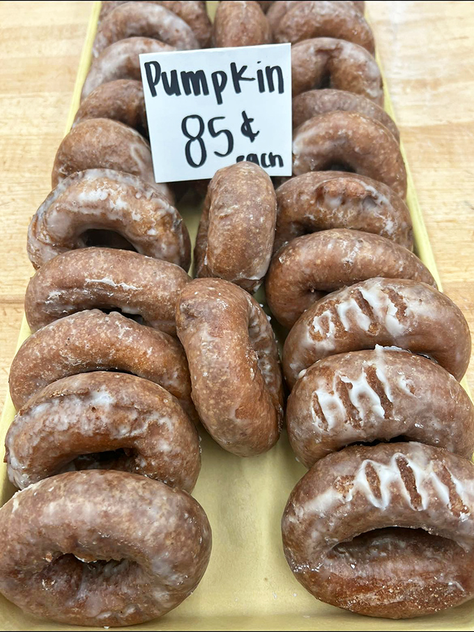 Fall in a bite! These pumpkin donuts are like a warm hug from your favorite sweater, only sweeter and more delicious.
