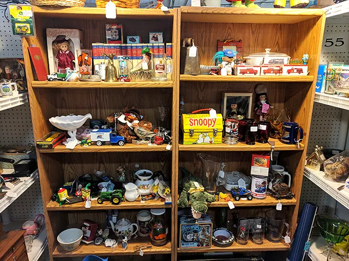 Toy story come to life! This shelf is a time capsule of childhood dreams. Snoopy's here, and he's brought all his vintage pals along.