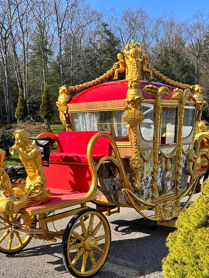 Cinderella's pumpkin carriage got an upgrade! This golden chariot is perfect for when you need to flee the ball at midnight.