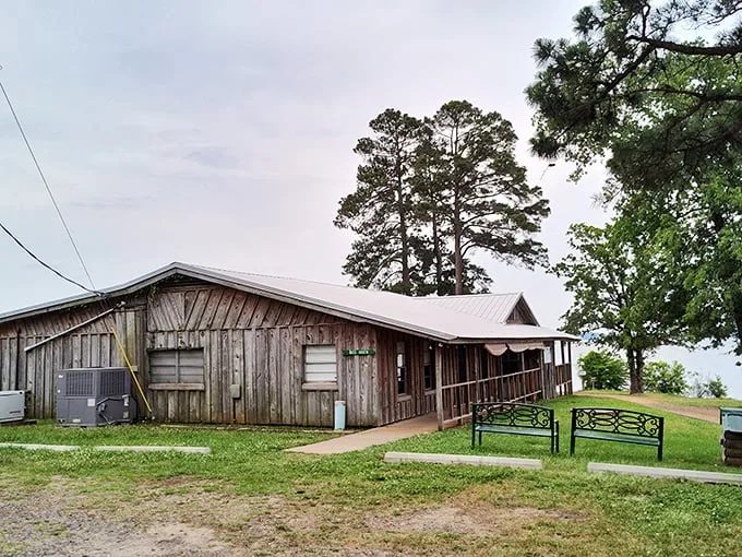 Bass Haven: where fish tales come to life! This hidden gem proves that sometimes, the best catches aren't in the water.