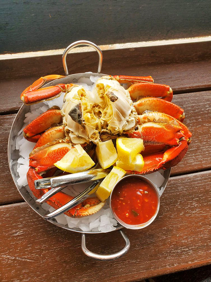 Crab-tastic! This Dungeness beauty is ready for its close-up. Get your crackers ready; it's time for some tasty shellfish archaeology.