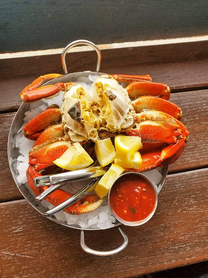 Crab-tastic! This Dungeness beauty is ready for its close-up. Get your crackers ready; it's time for some tasty shellfish archaeology.