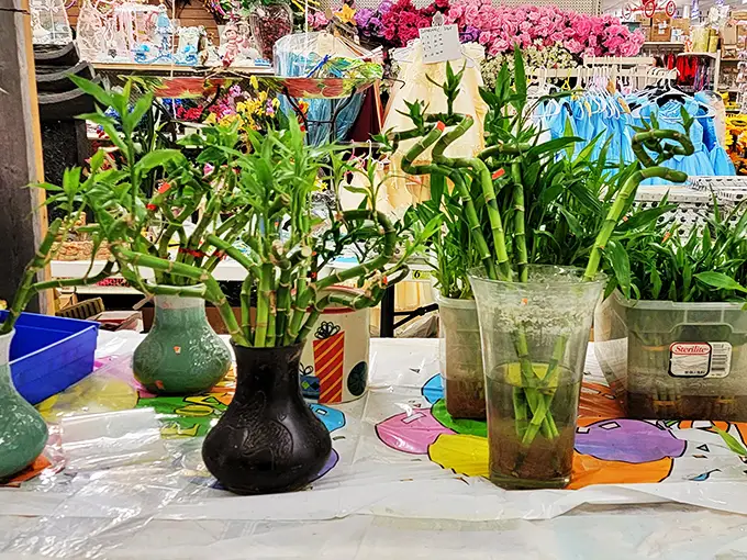 Who needs a green thumb when you've got green bucks? These plants are ready to turn your home into a jungle – no watering required!