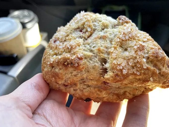 Scone but not forgotten! This buttery masterpiece is the breakfast of champions – and really, anyone with taste buds.