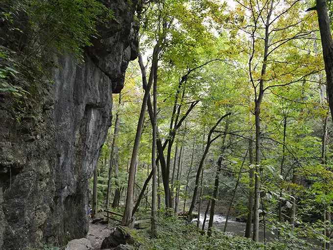 Limestone cliffs that make you wonder if you've somehow teleported from Ohio to a national park. Mother Nature showing off again.