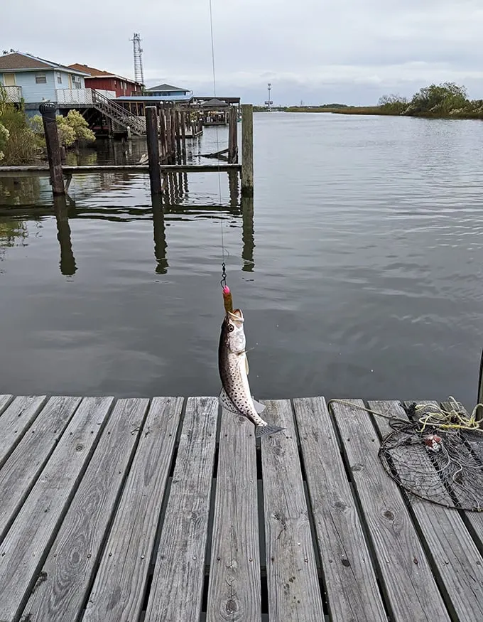 The catch of the day: serenity! Nothing beats fishing from your own castle dock. Take that, fancy resorts with your infinity pools!