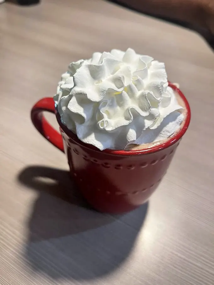 Hot chocolate or a cloud in a mug? This whipped cream masterpiece is begging to be Instagrammed... and then devoured.
