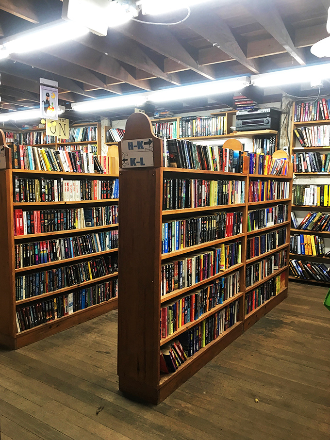 Shelf life: infinite. These wooden warriors have seen more stories than a Hollywood scriptwriter. If only they could talk – oh wait, they can!