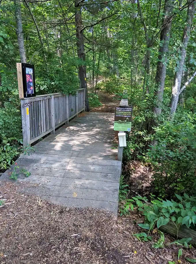 Take a walk on the wild side! This scenic trail offers a peaceful escape, perfect for working off that lobster roll.