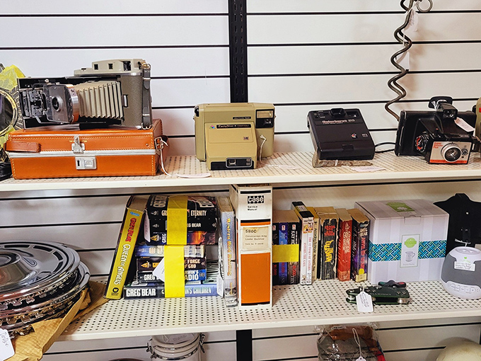 Yesterday's technology becomes today's conversation piece. These vintage cameras captured memories long before "selfie" entered our vocabulary.