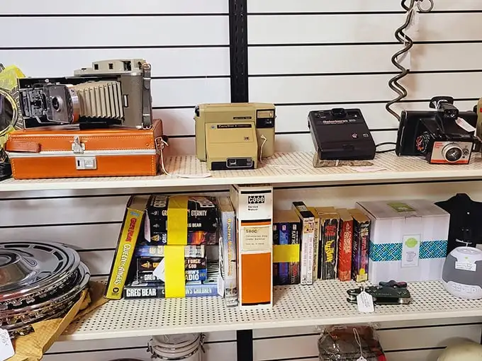 Yesterday's technology becomes today's conversation piece. These vintage cameras captured memories long before "selfie" entered our vocabulary.