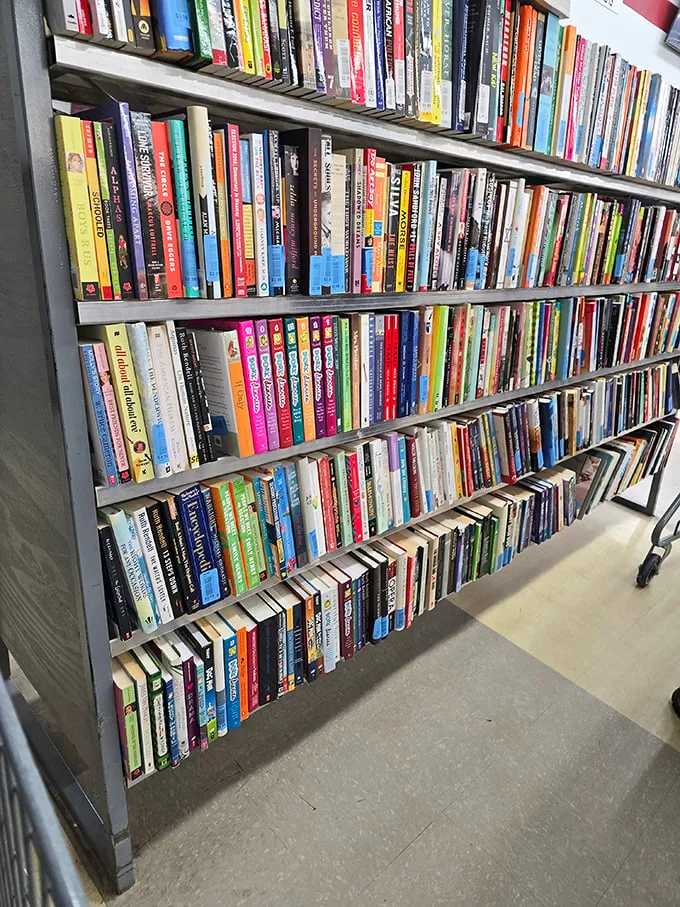 "Bookworms, rejoice! This literary labyrinth is where forgotten tomes find new homes and readers embark on budget-friendly adventures."