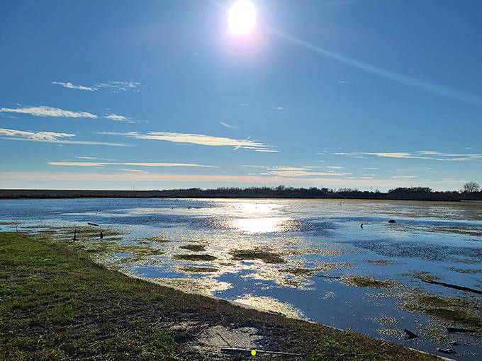 Mother Nature's masterpiece: where the sky meets the bayou. This view alone is worth the trip – no wonder someone decided to build a castle here!