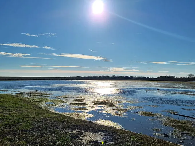Mother Nature's masterpiece: where the sky meets the bayou. This view alone is worth the trip – no wonder someone decided to build a castle here!