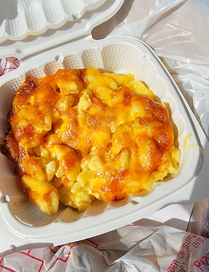 Say cheese! This mac and cheese is so gooey and golden, it could star in its own food commercial. Comfort food at its finest.